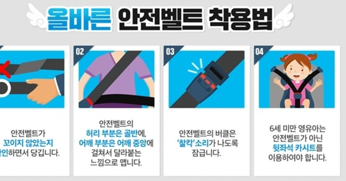 추석 연휴 안전벨트 미착용 시 사망률 4배 ↑뒷좌석 착용은 무조건 
