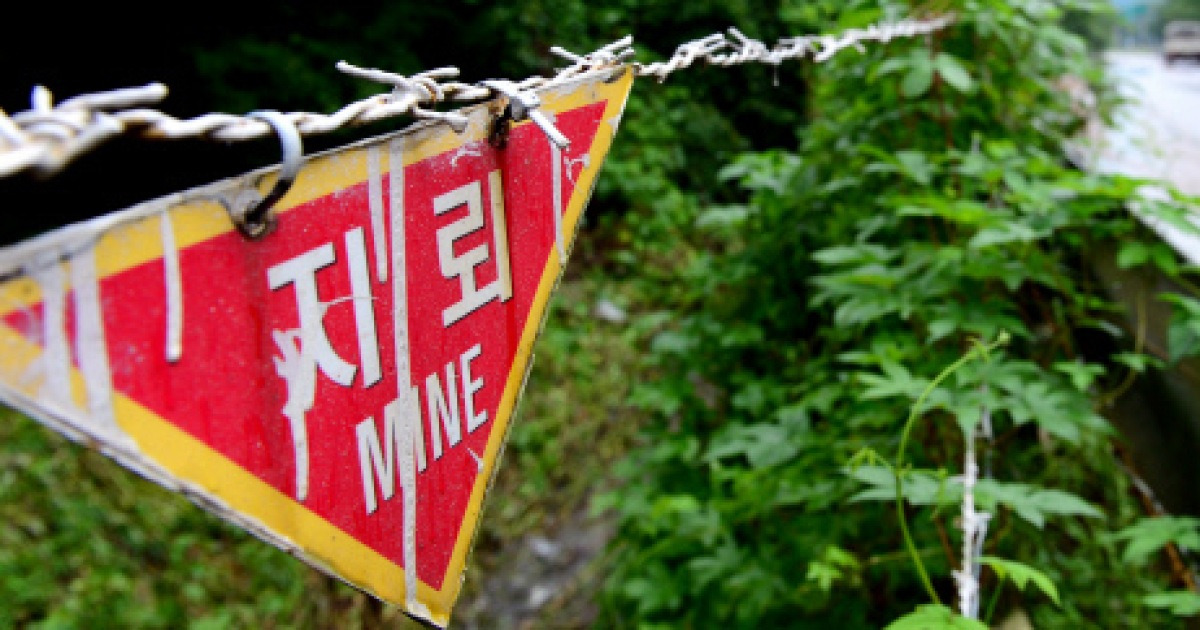 The Two Koreas to Remove Mines in the DMZ Next Month: First ...