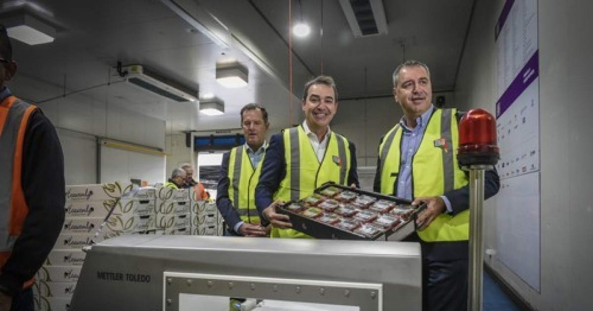 AUSTRALIA STRAWBERRY CONTAMINATION INDUSTRY