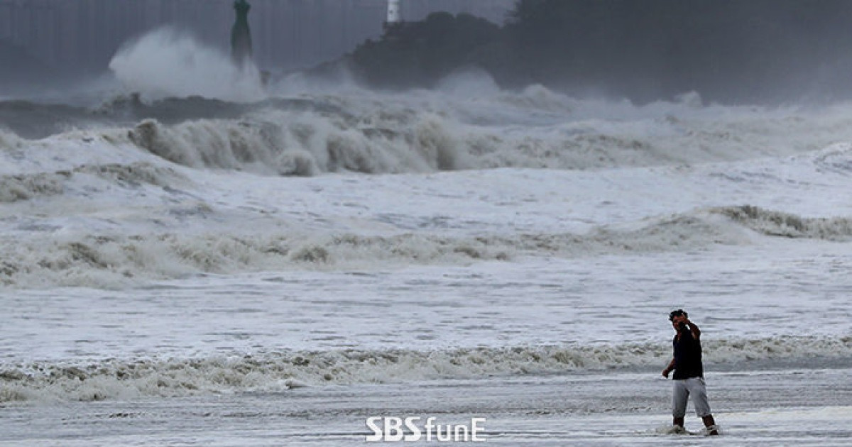 [23rd BIFF] 태풍 콩레이, 해운대 덮치다..BIFF 일정 취소 및 연기