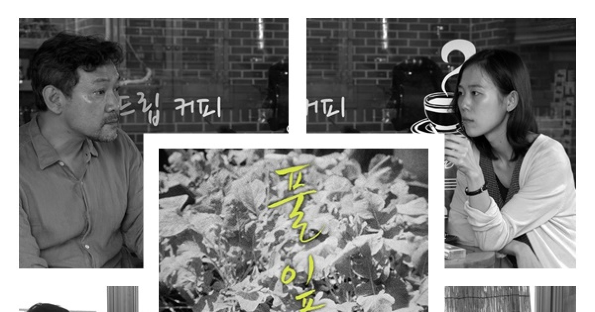 "'홍상수의 반가운 변화"..'풀잎들' 내부자들의 첫 반응[23rd BIFF]