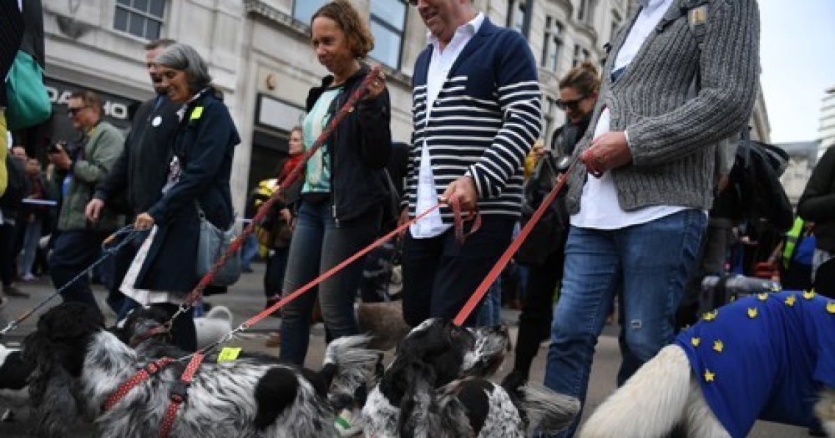 BRITAIN BREXIT WOOFERENDUM DOG RALLY