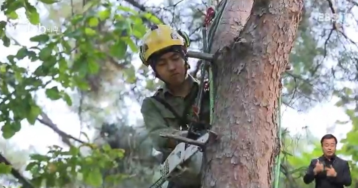 수목관리전문가, 아보리스트