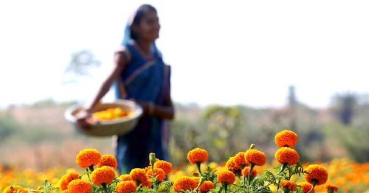 INDIA CUSTOMS TRADITIONS FLOWERS