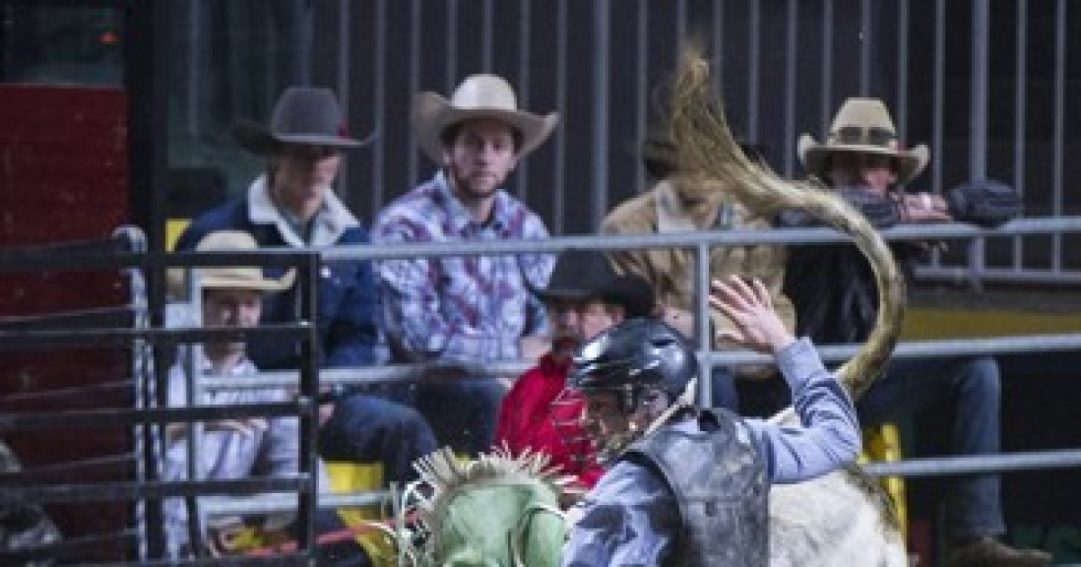 (SP)CANADA-TORONTO-RODEO
