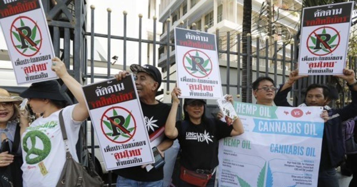 THAILAND MARIJUANA PROTEST