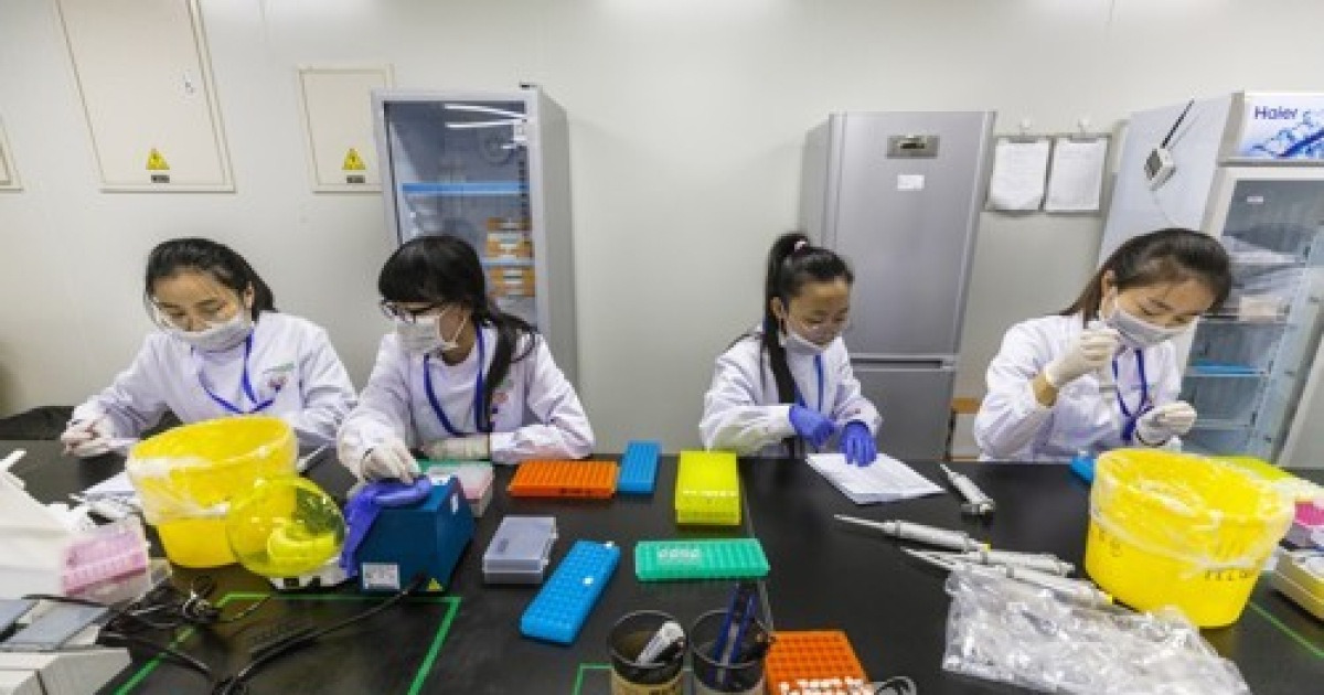 CHINA PHOTO SET DNA RESEARCH