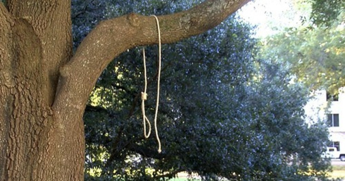Mississippi Nooses