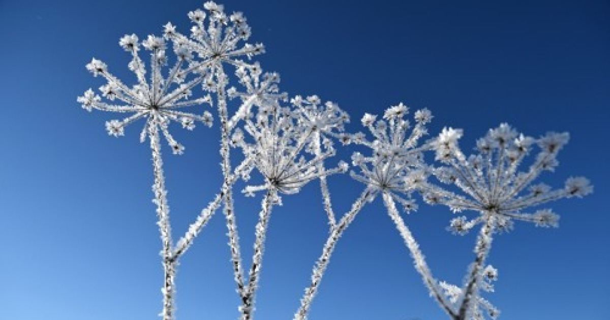 POLAND WEATHER WINTER
