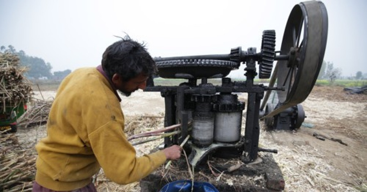 INDIA JAGGERY PRODUCTION