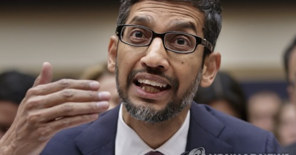 Google CEO Congress
