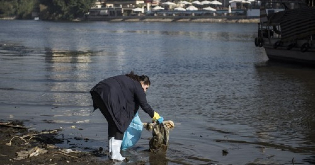 EGYPT RIVER NILE WATER CLEANING INITIATIVE
