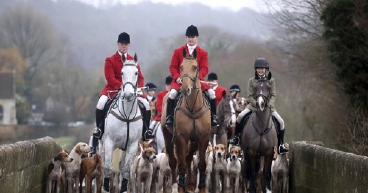 Britain Hunting