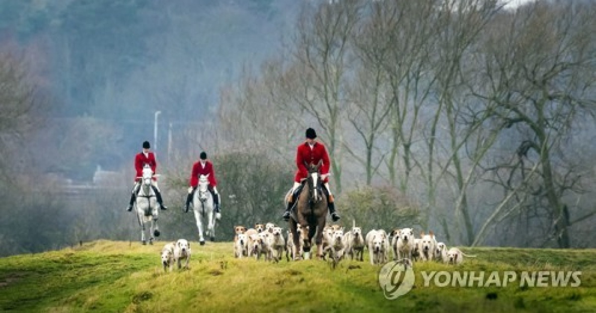 Britain Hunting