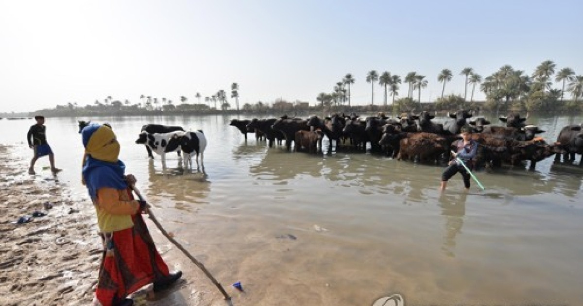 epaselect IRAQ NOMADS