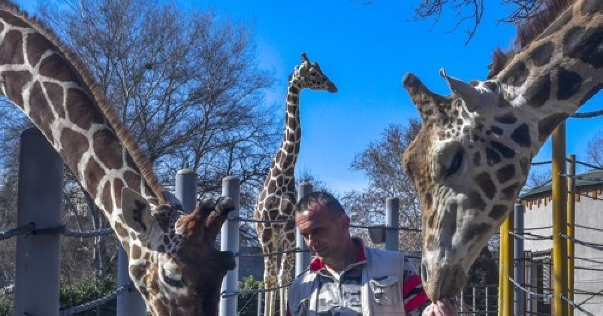 NORTH MACEDONIA WEATHER ANIMALS