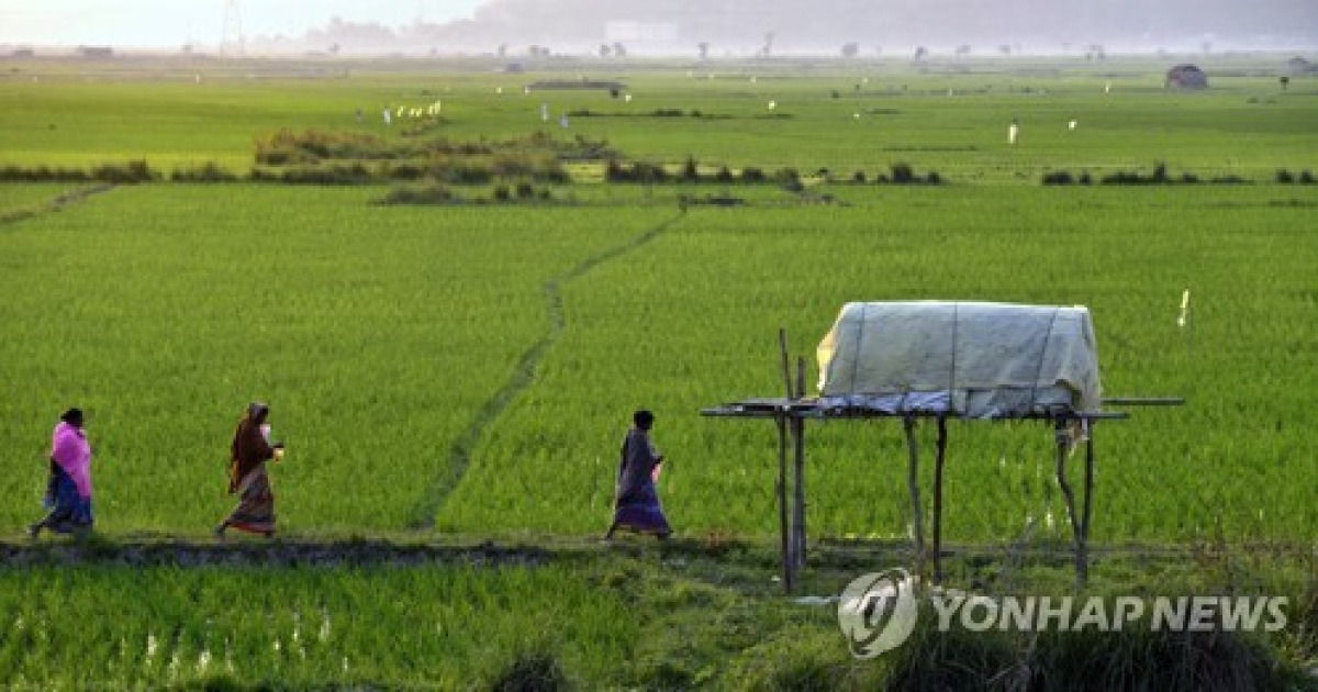 INDIA DAILY LIFE