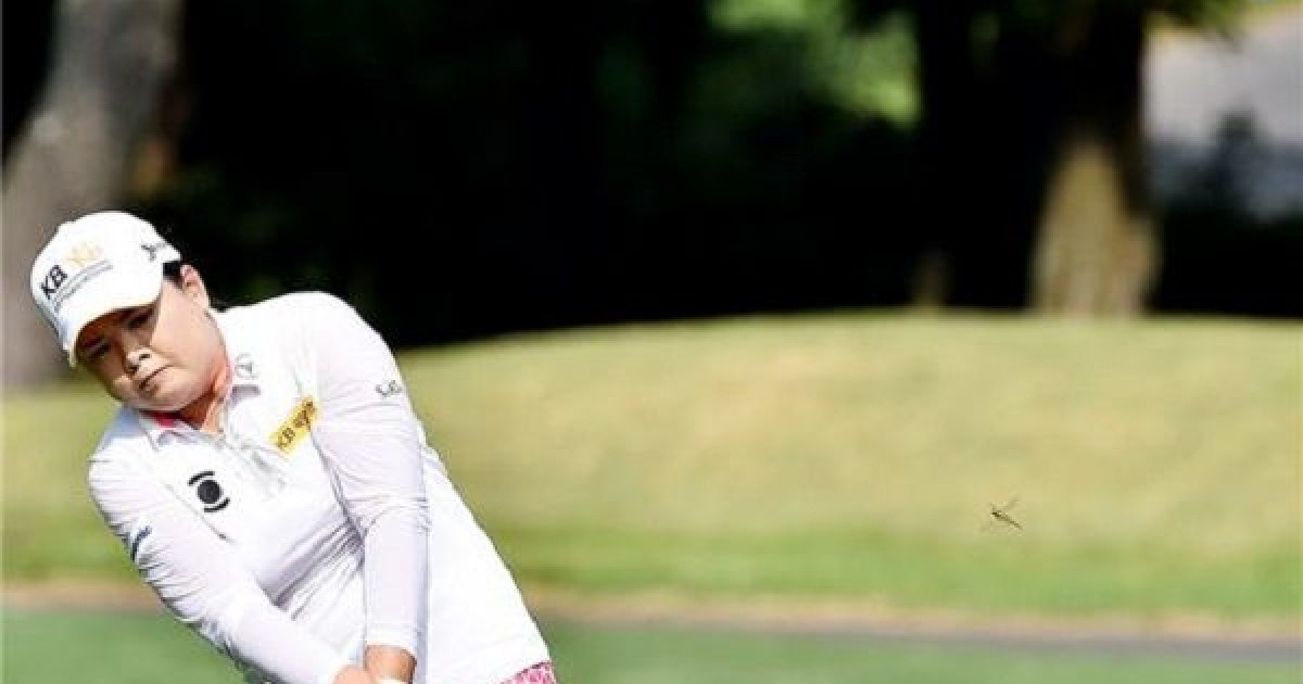 박인비, LPGA 20승 다음 기회에..고진영·박성현과 공동 2위