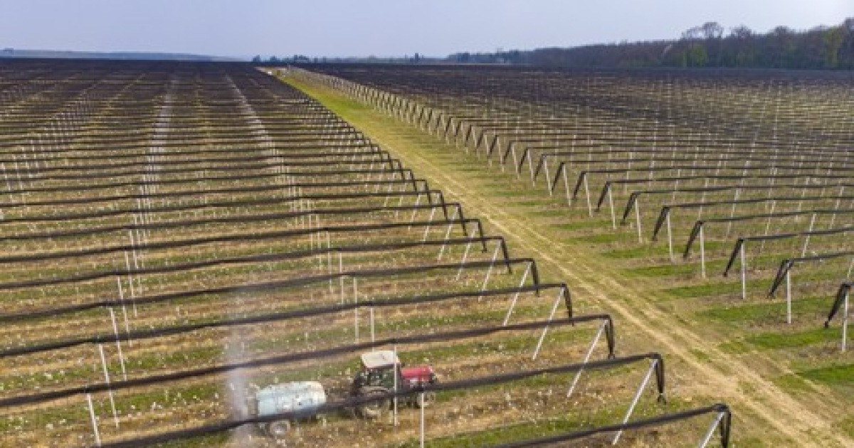 HUNGARY AGRICULTURE
