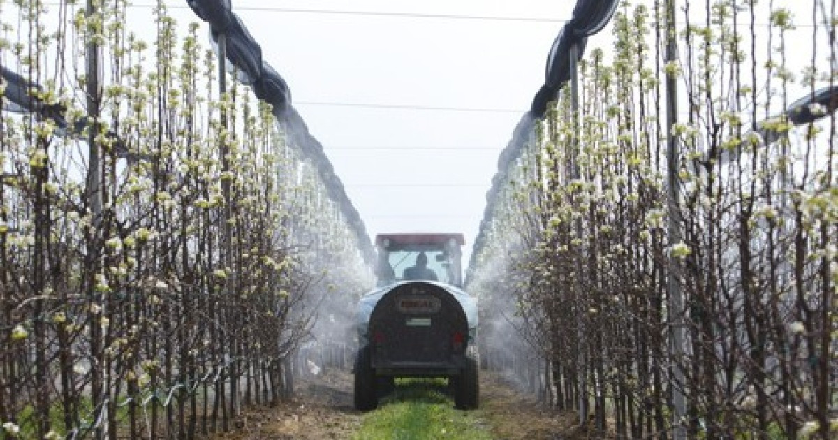 HUNGARY AGRICULTURE