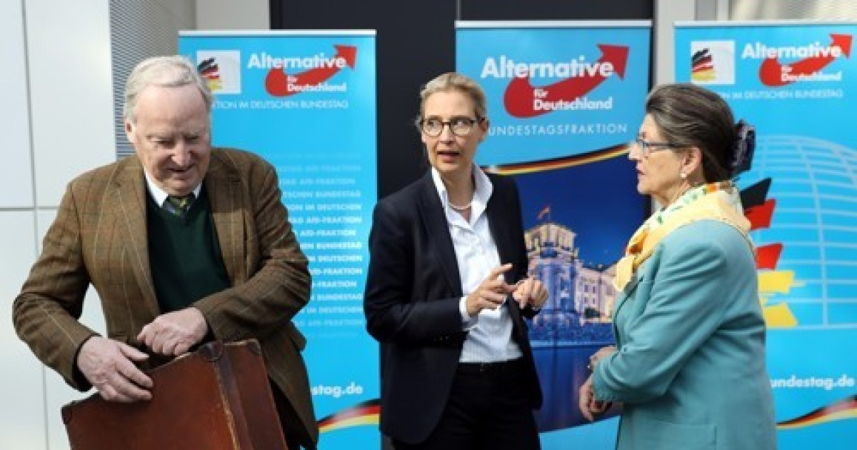 GERMANY PARTIES AFD MEETING