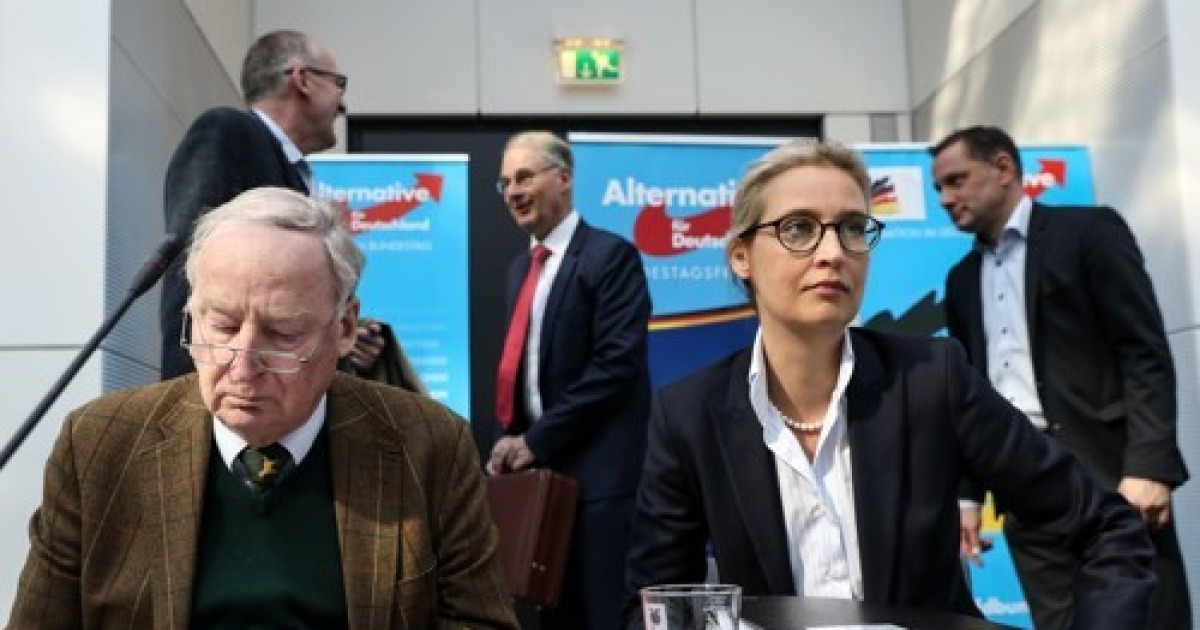 GERMANY PARTIES AFD MEETING