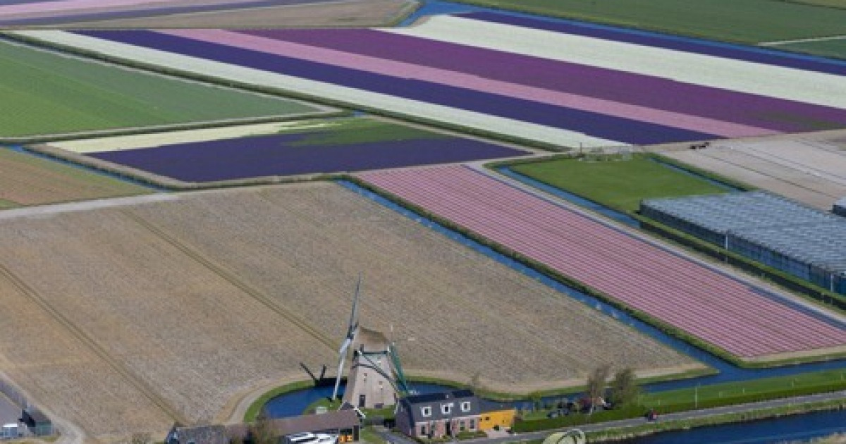 Netherlands EU Brexit