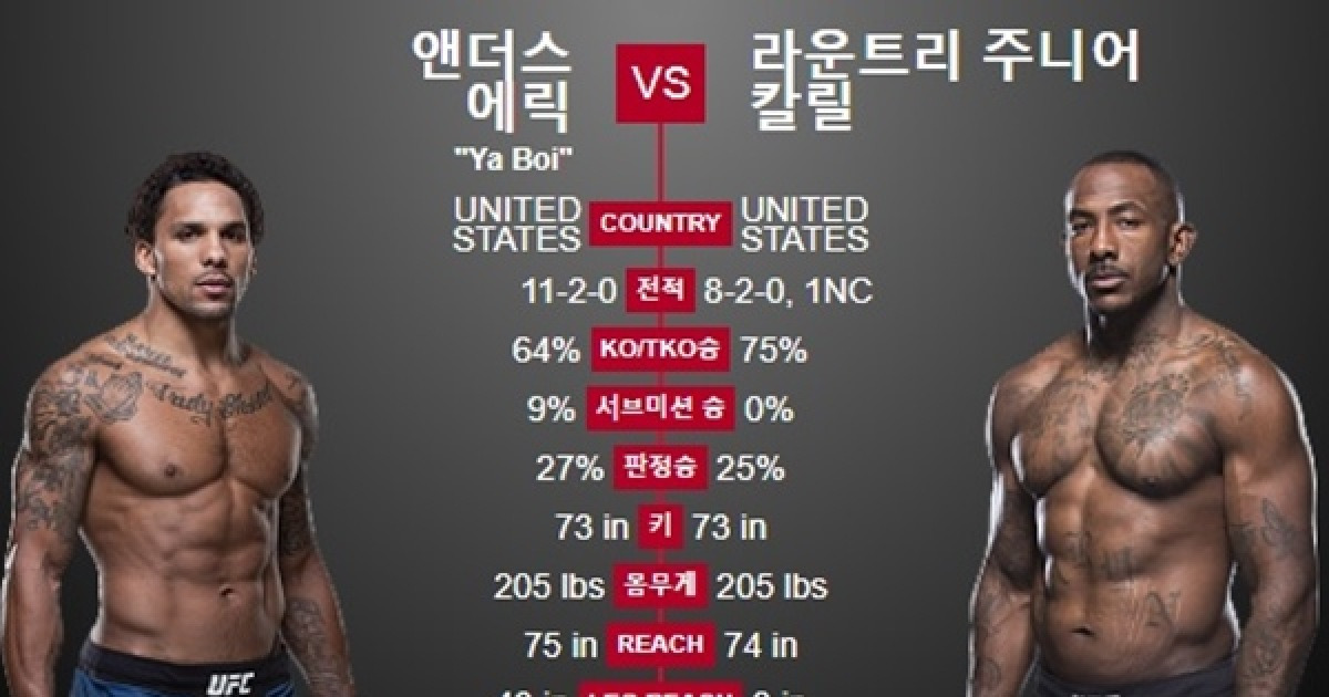 UFC 236 칼릴 라운트리 주니어, 레그킥 세례로 앤더스에 압승