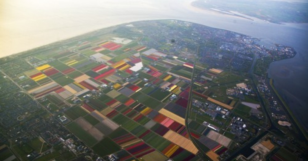 Netherlands Daily Life