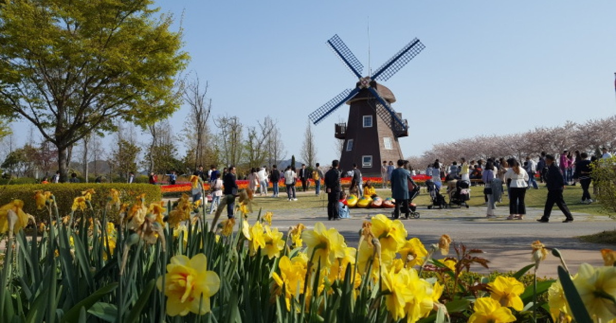 Into wetlands of Suncheon Bay, onto garden of Korea