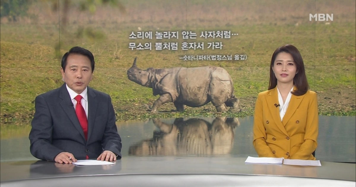 5월 12일 MBN 뉴스8 클로징