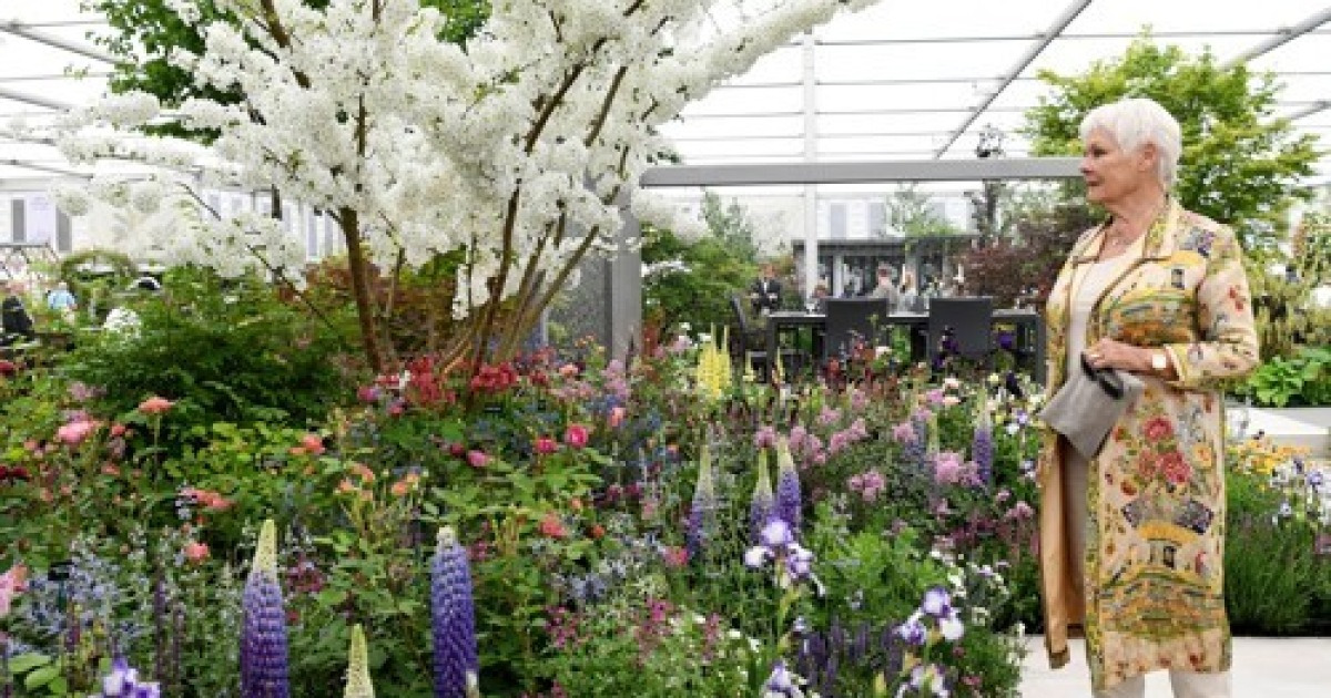 BRITAIN CHELSEA FLOWER SHOW