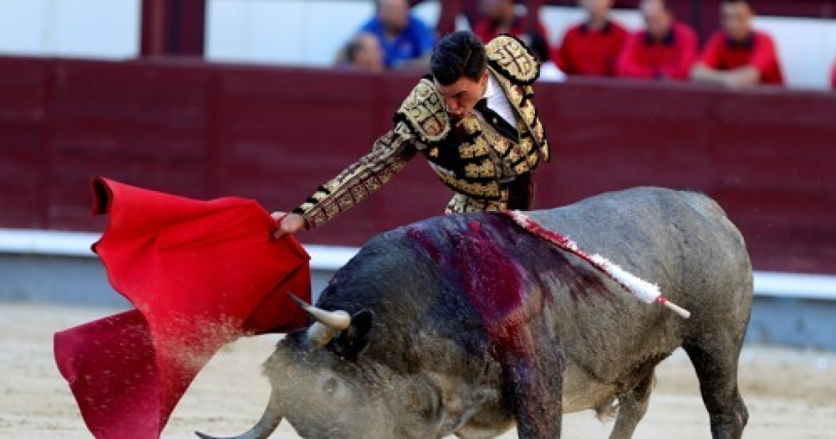 SPAIN BULLFIGHTING