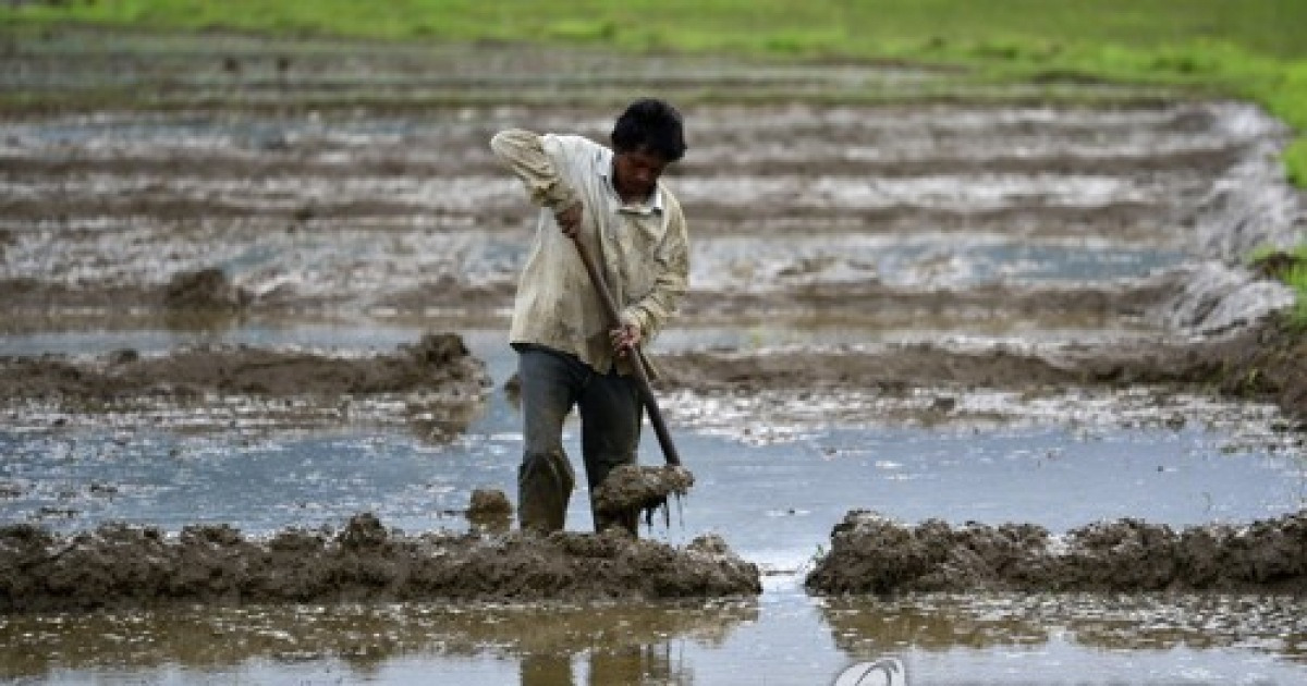 INDIA DAILY LIFE