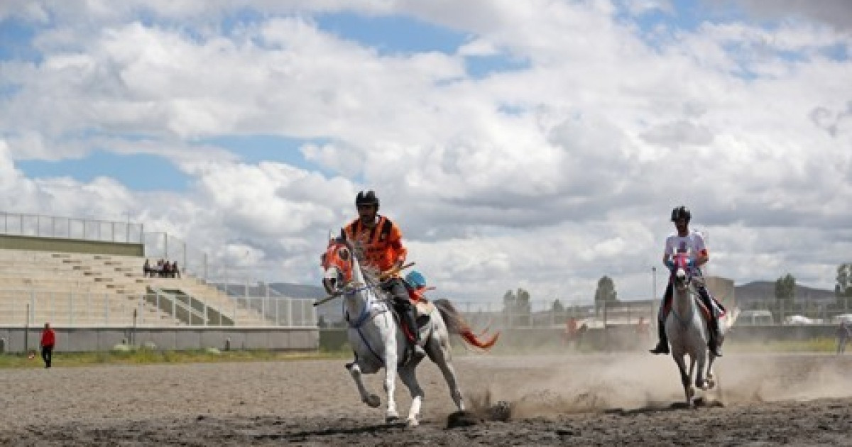 TURKEY PHOTO SET JAVELIN THROW GAME