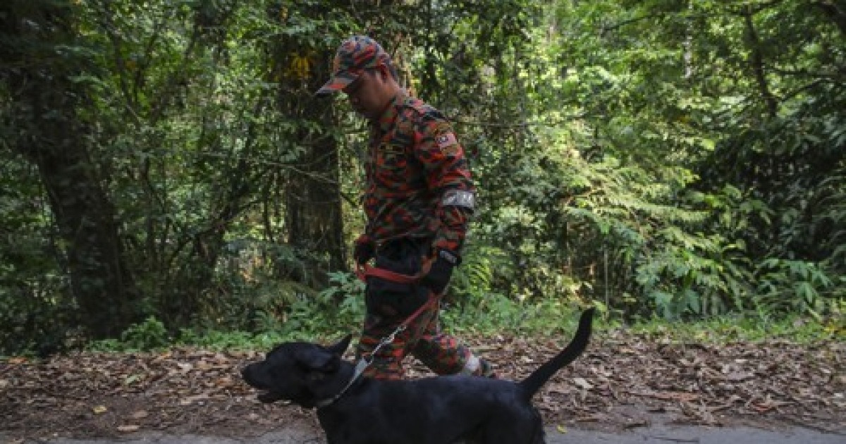 MALAYSIA BRITAIN MISSING NORA QUOIRIN