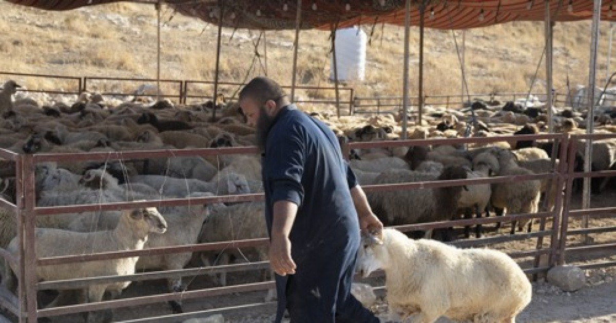 JORDAN EID AL-ADHA ISLAM BELIEF