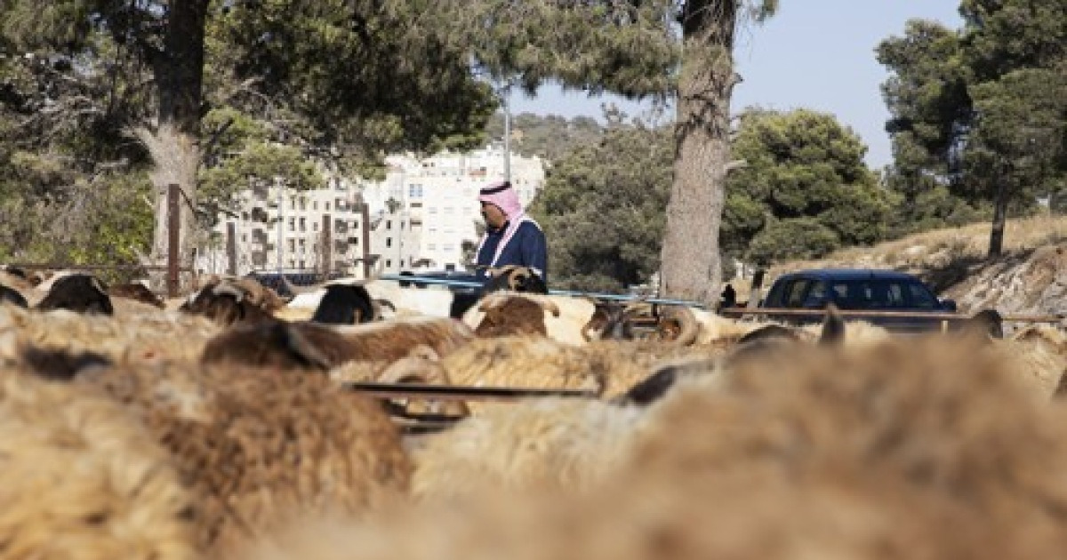 JORDAN EID AL-ADHA ISLAM BELIEF