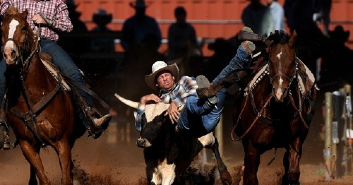 AUSTRALIA RODEO