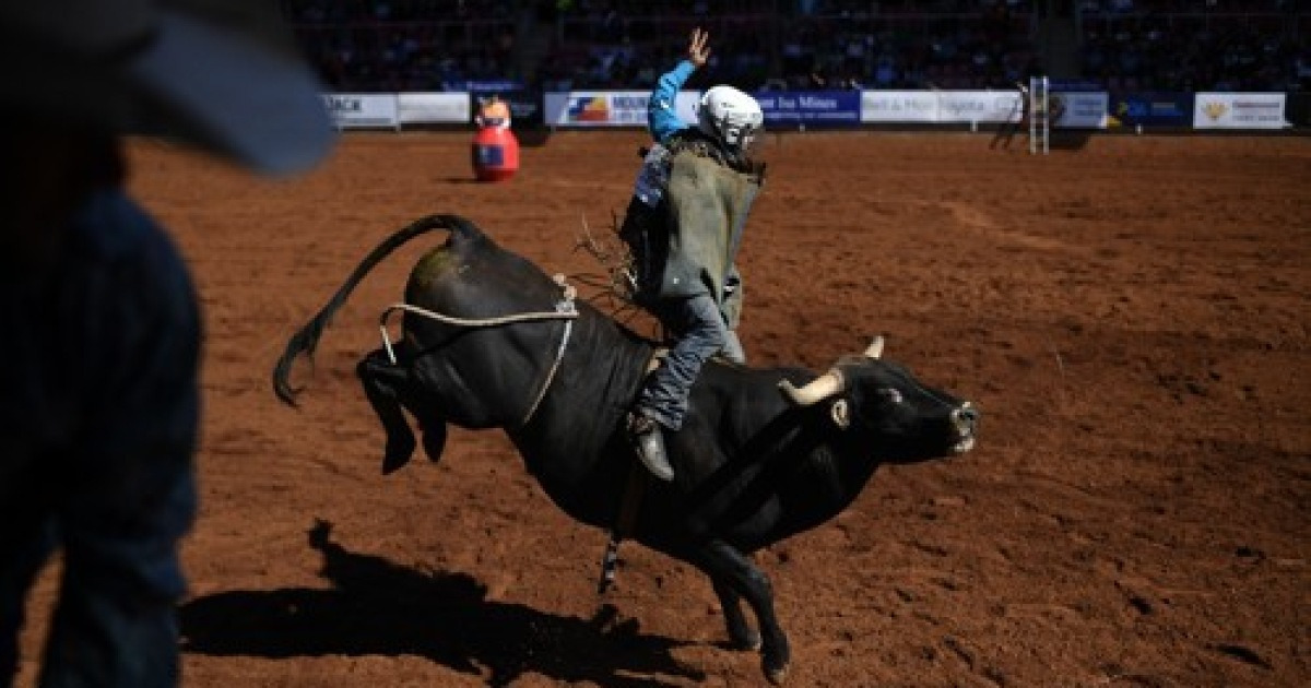 AUSTRALIA RODEO