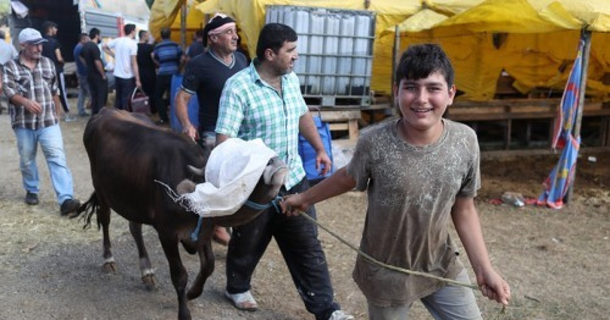 TURKEY EID AL ADHA ISLAM BELIEF