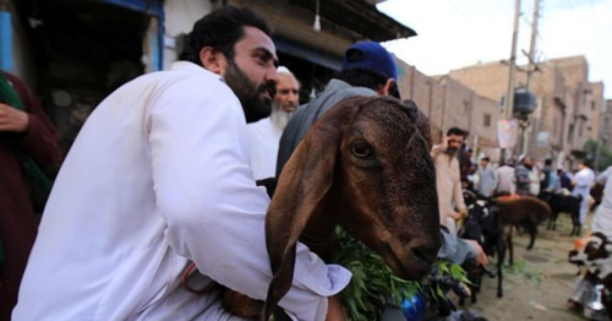 PAKISTAN BELIEF ISLAM EID AL-ADHA