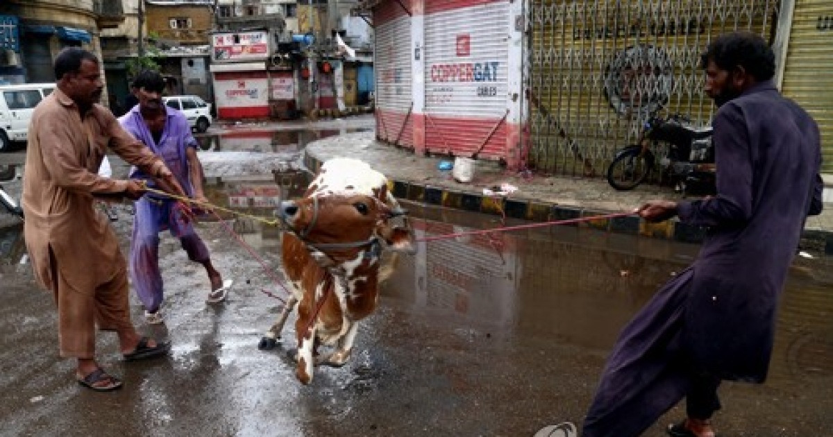 PAKISTAN EID AL-ADHA ISLAM BELIEF