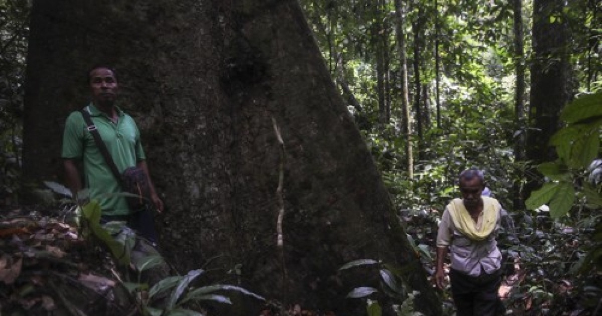 MALAYSIA BRITAIN MISSING NORA QUOIRIN