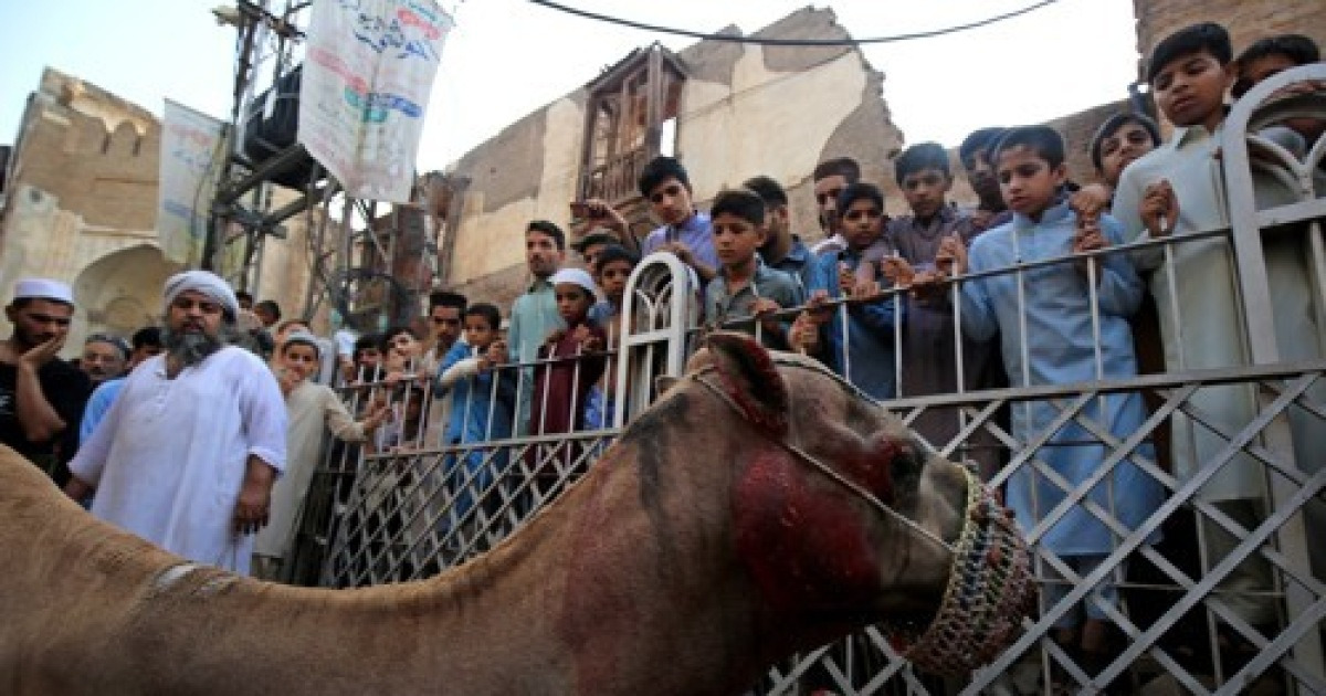 PAKISTAN EID AL-ADHA ISLAM BELIEF