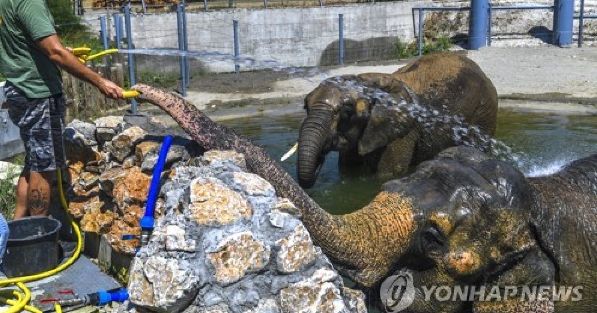 NORTH MACEDONIA WORLD ELEPHANT DAY