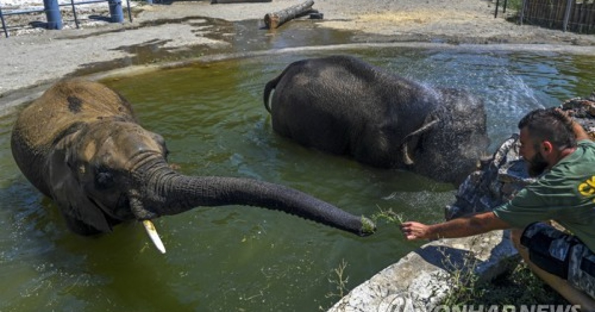 NORTH MACEDONIA WORLD ELEPHANT DAY