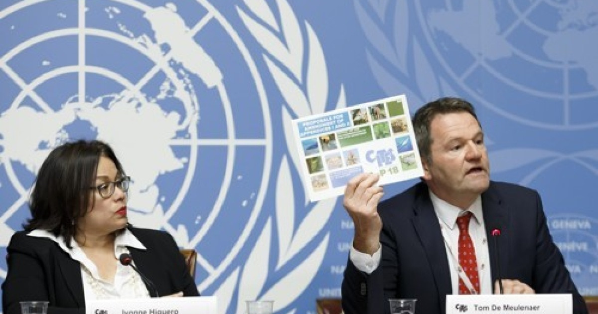 SWITZERLAND CITES CONFERENCE