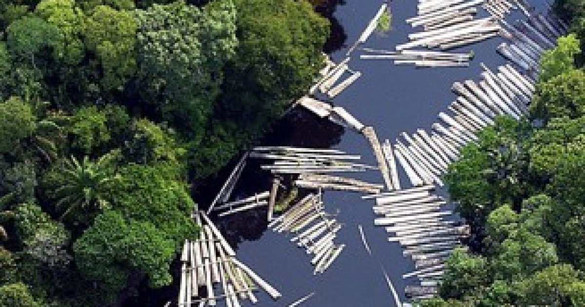 BRAZIL ENVIRONMENT DEFORESTATION