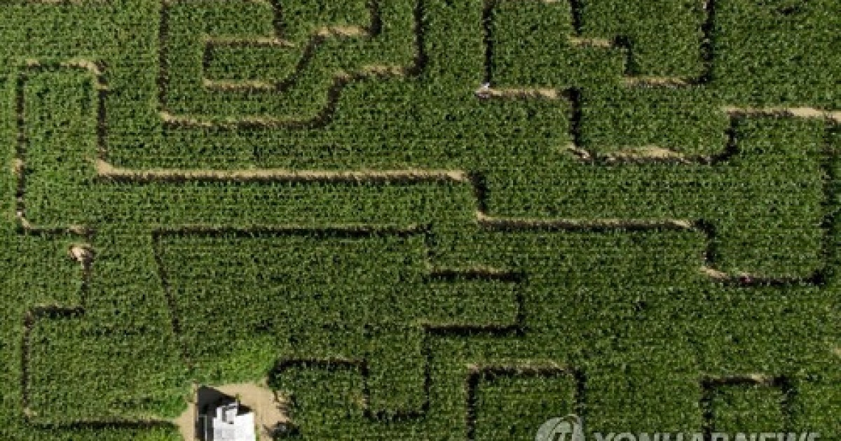 SWITZERLAND CORN MAZE